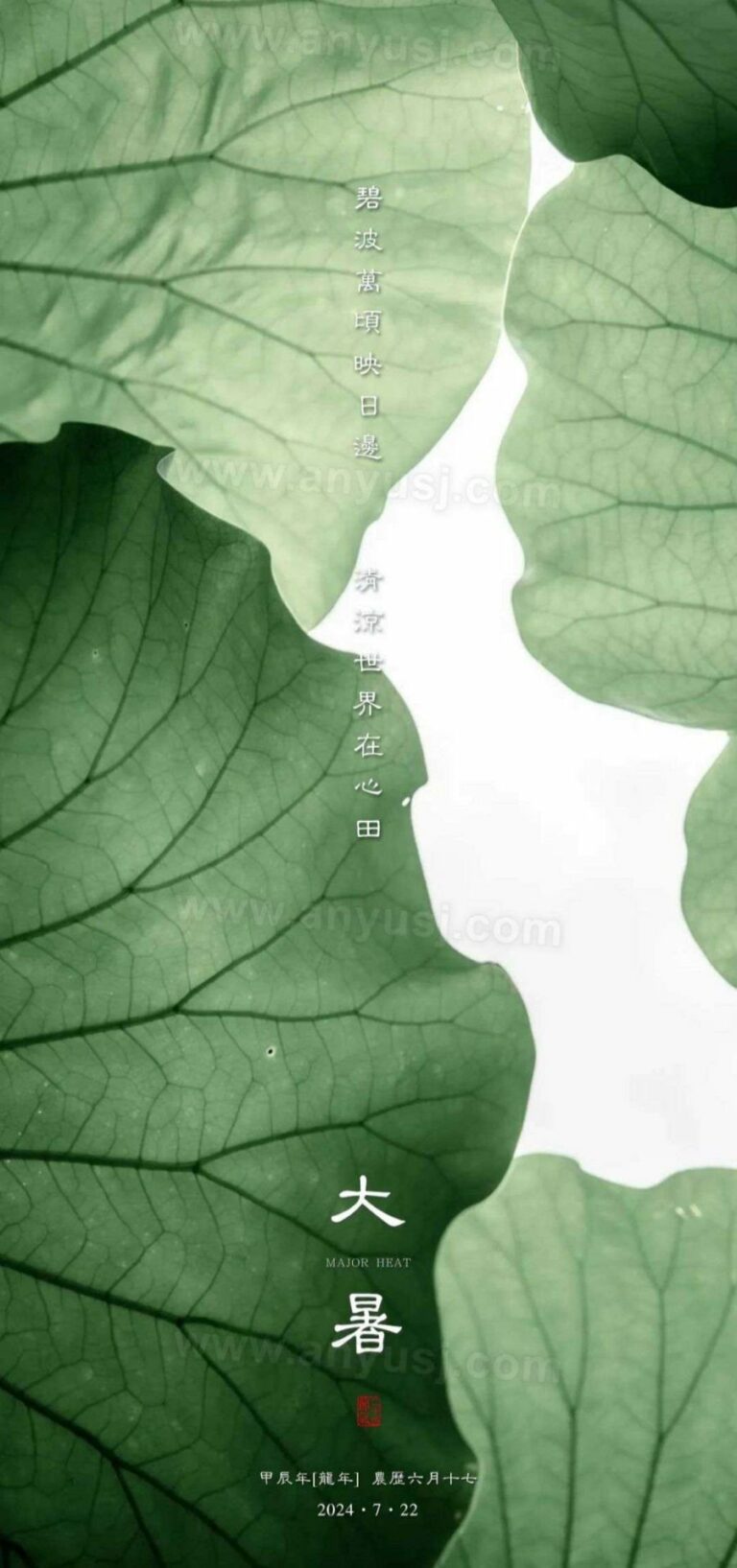 45款创意小暑大暑节气朋友圈海报排版PSD/AI/CDR分层源文件-第7226期- - 安鱼设计资源丨优质平面设计资源共享站